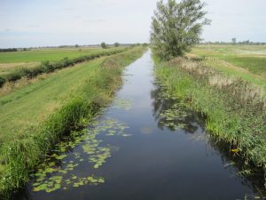 The Cam Valley - Cam Valley Forum